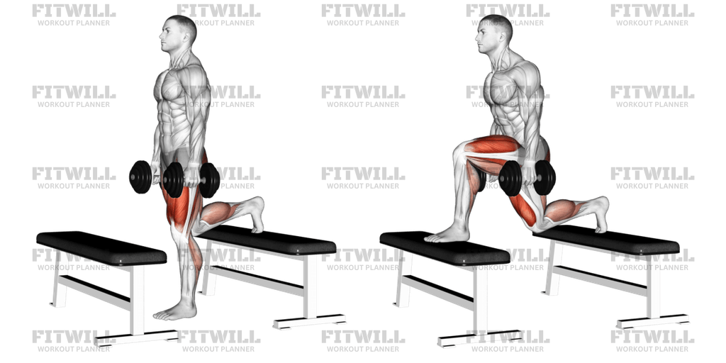 Dumbbell Step-up Lunge: Exercise Guide, Techniques, Benefits, How to ...