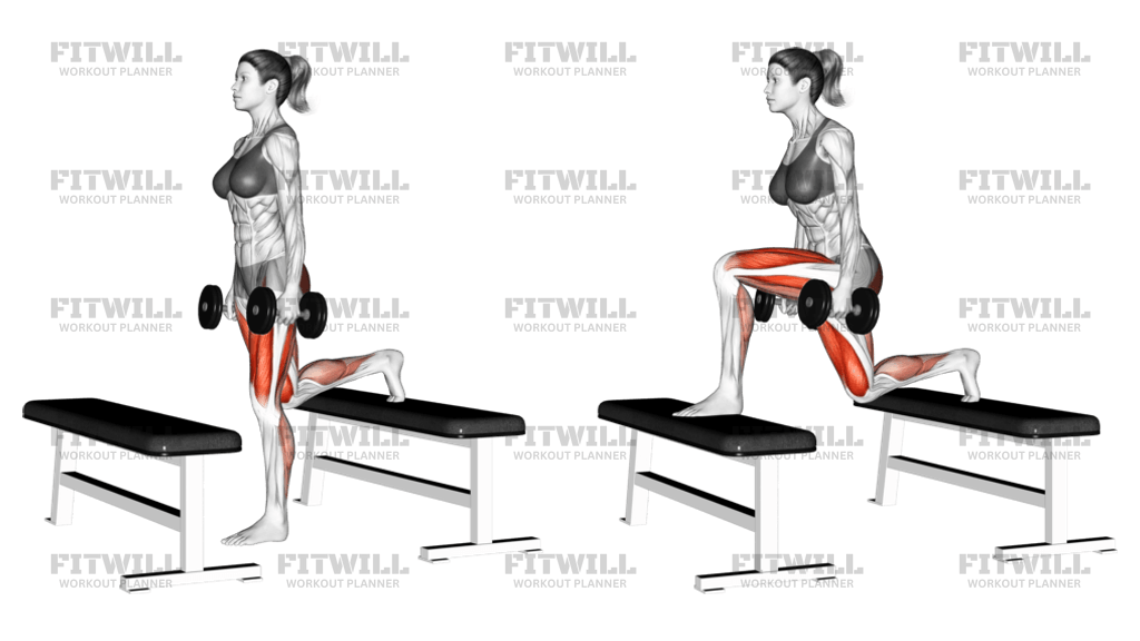 How to do Dumbbell Step-up Lunge: Techniques, Benefits, Tips & Tricks ...