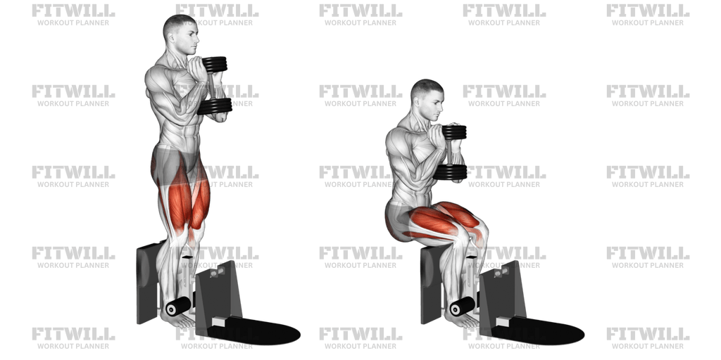 Dumbbell Supported Squat Exercise Guide Video Techniques Benefits How To Muscles Worked