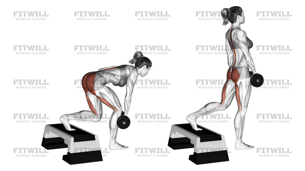 How to do Dumbbell Single Leg Deadlift with Stepbox Support: Techniques ...