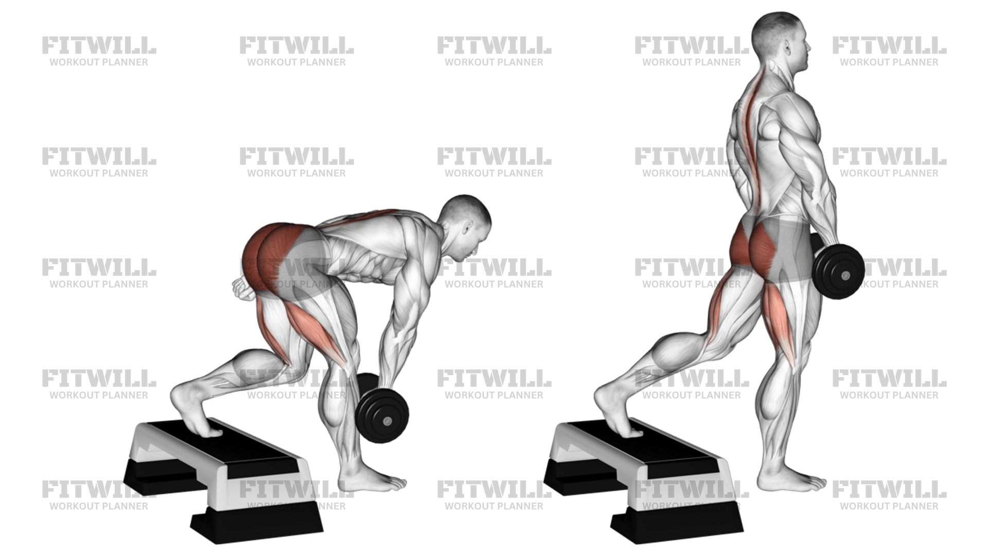 Peso Muerto A Una Pierna Con Mancuernas Y Apoyo En Stepbox: Guía de ...