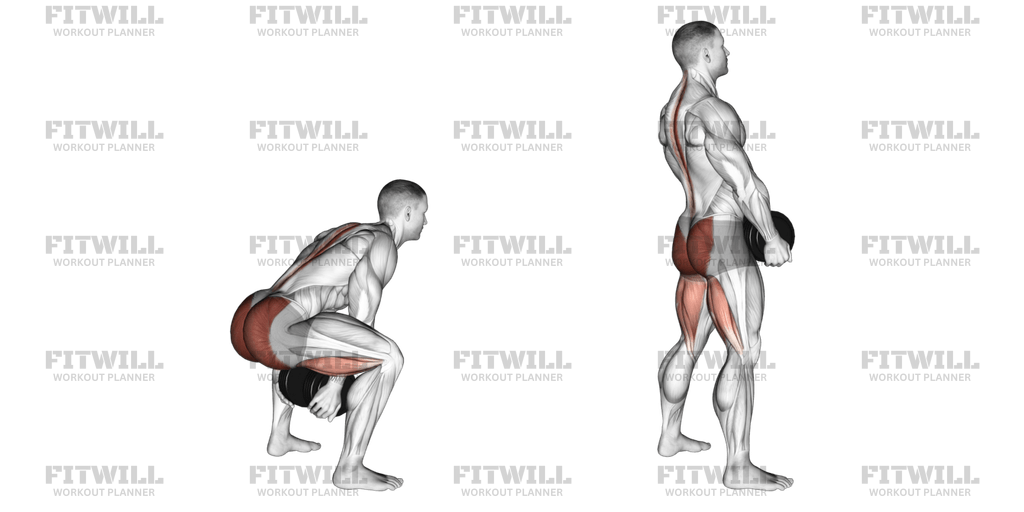 Dumbbell Sumo Pull Through: Exercise Guide, Video, Techniques, Benefits ...