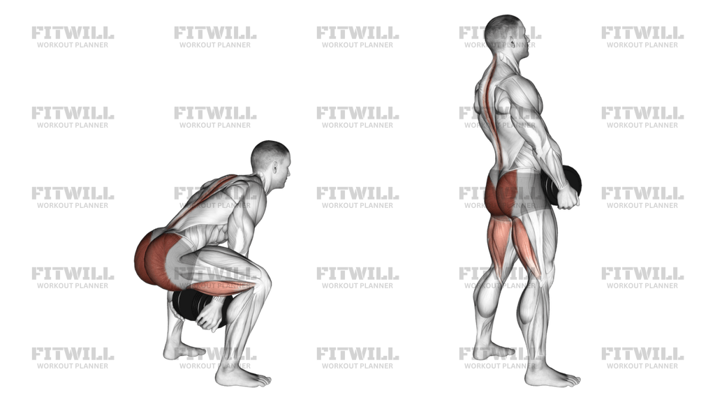 Dumbbell Sumo Pull Through: Exercise Guide, Video, Techniques, Benefits ...