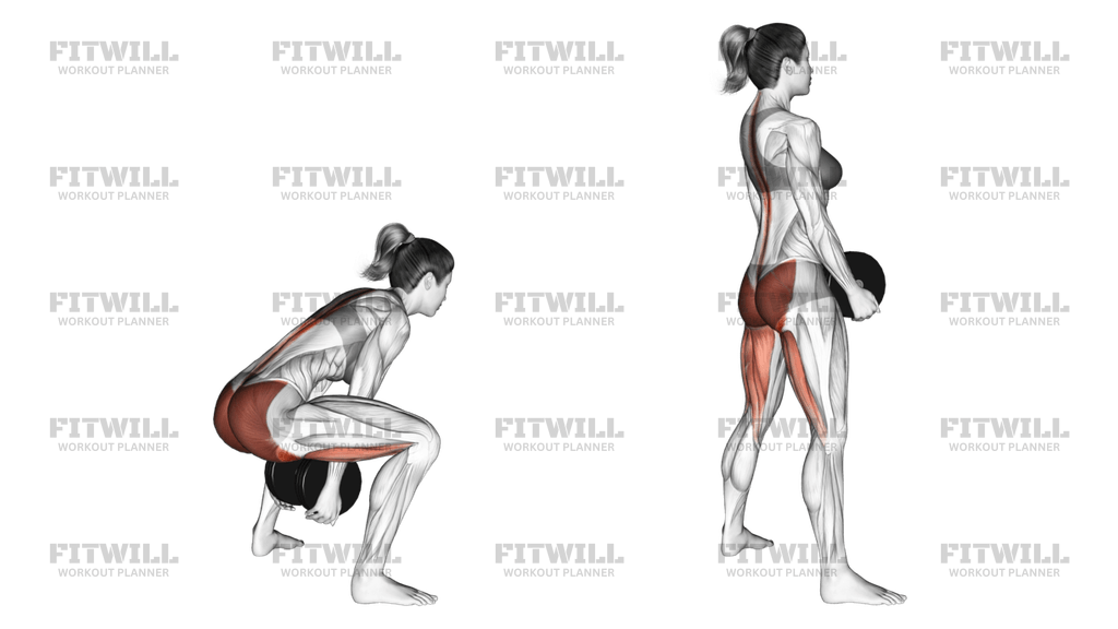 Dumbbell Sumo Pull Through: Exercise Guide, Video, Techniques, Benefits ...