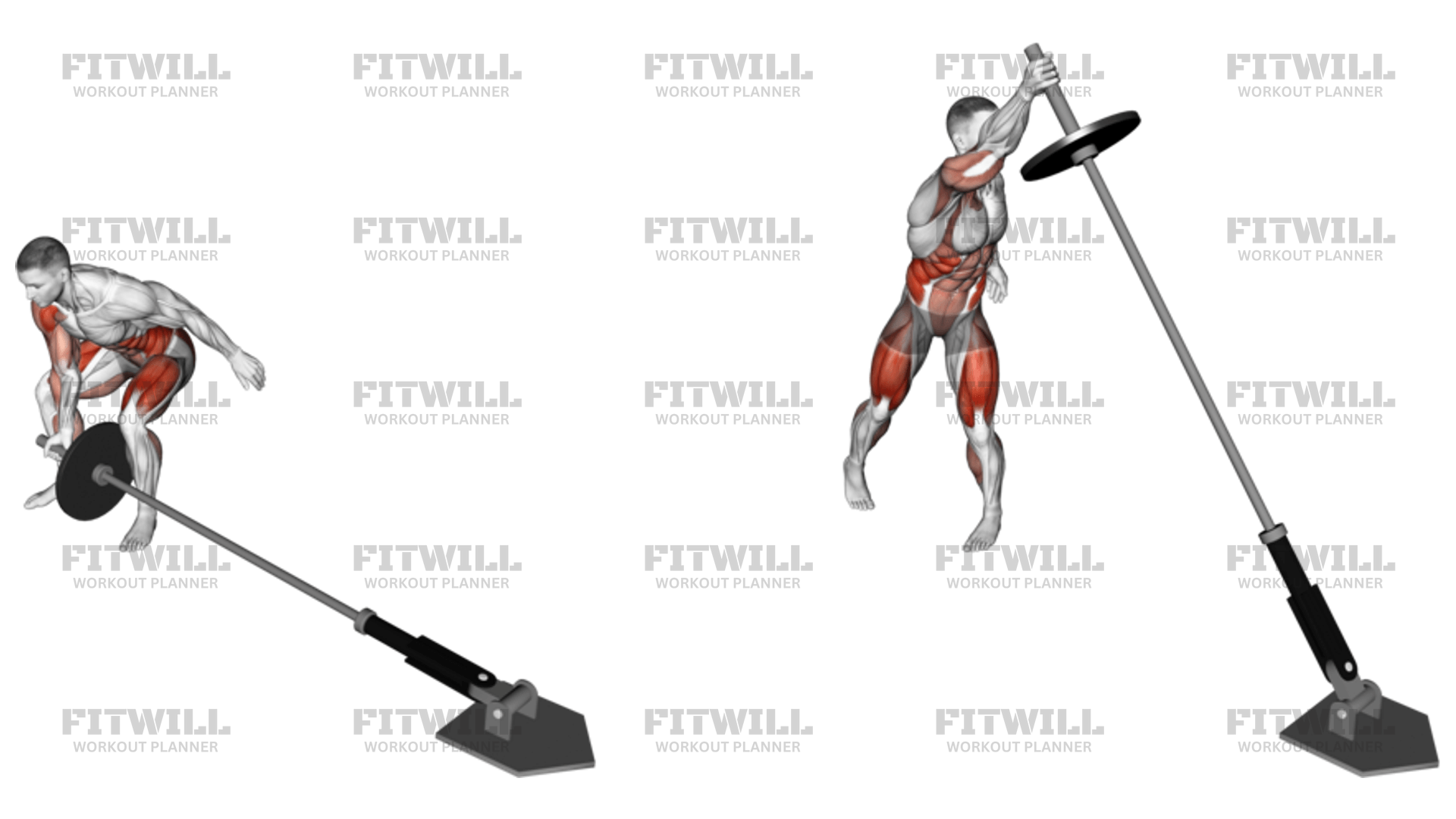 One Arm Twisted Clean And Press: Exercise Guide, Techniques, Benefits ...