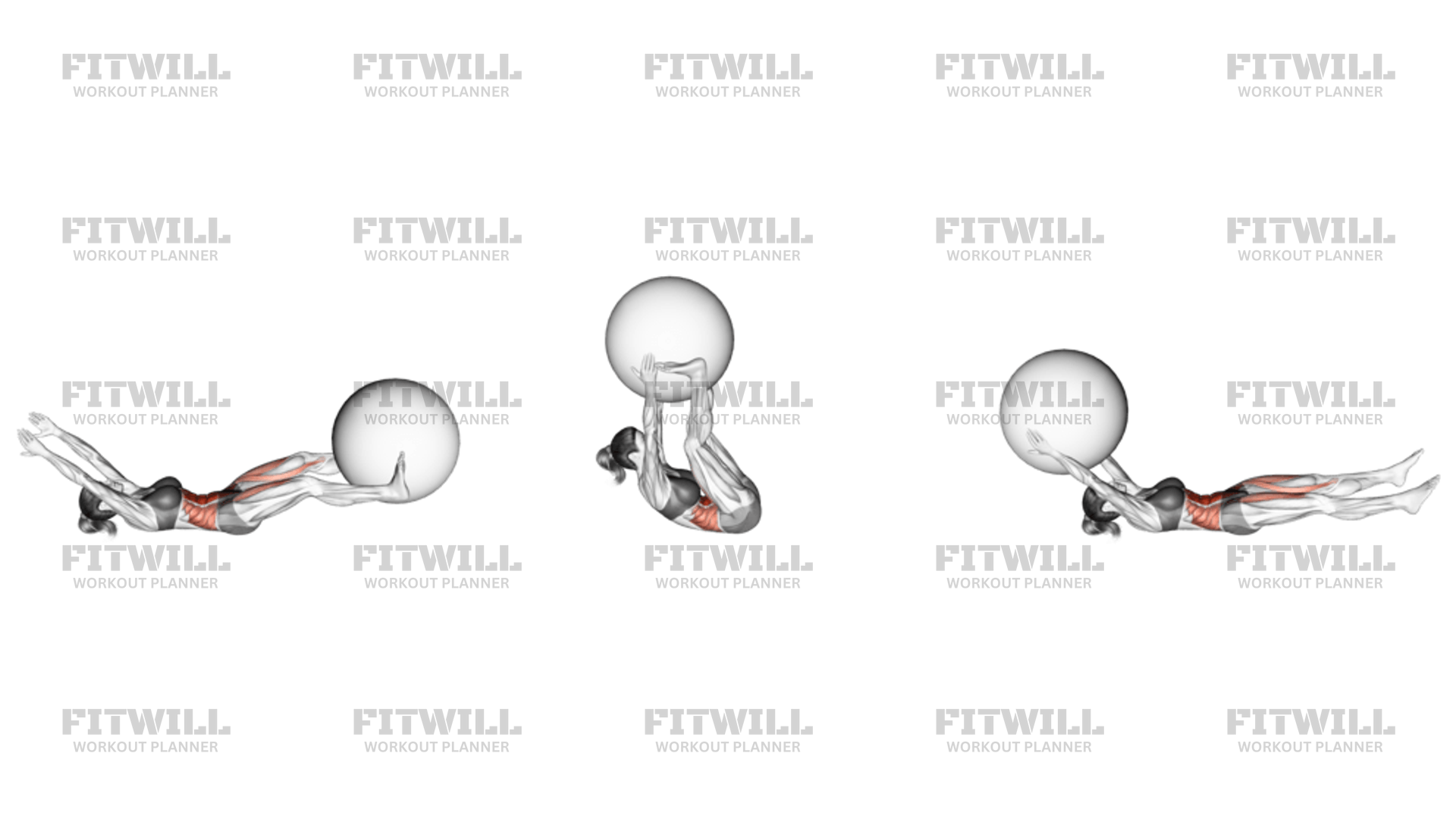 V-Up Down (with Stability Ball): Exercise Guide, Video, Techniques, Benefits, How to, Muscles ...