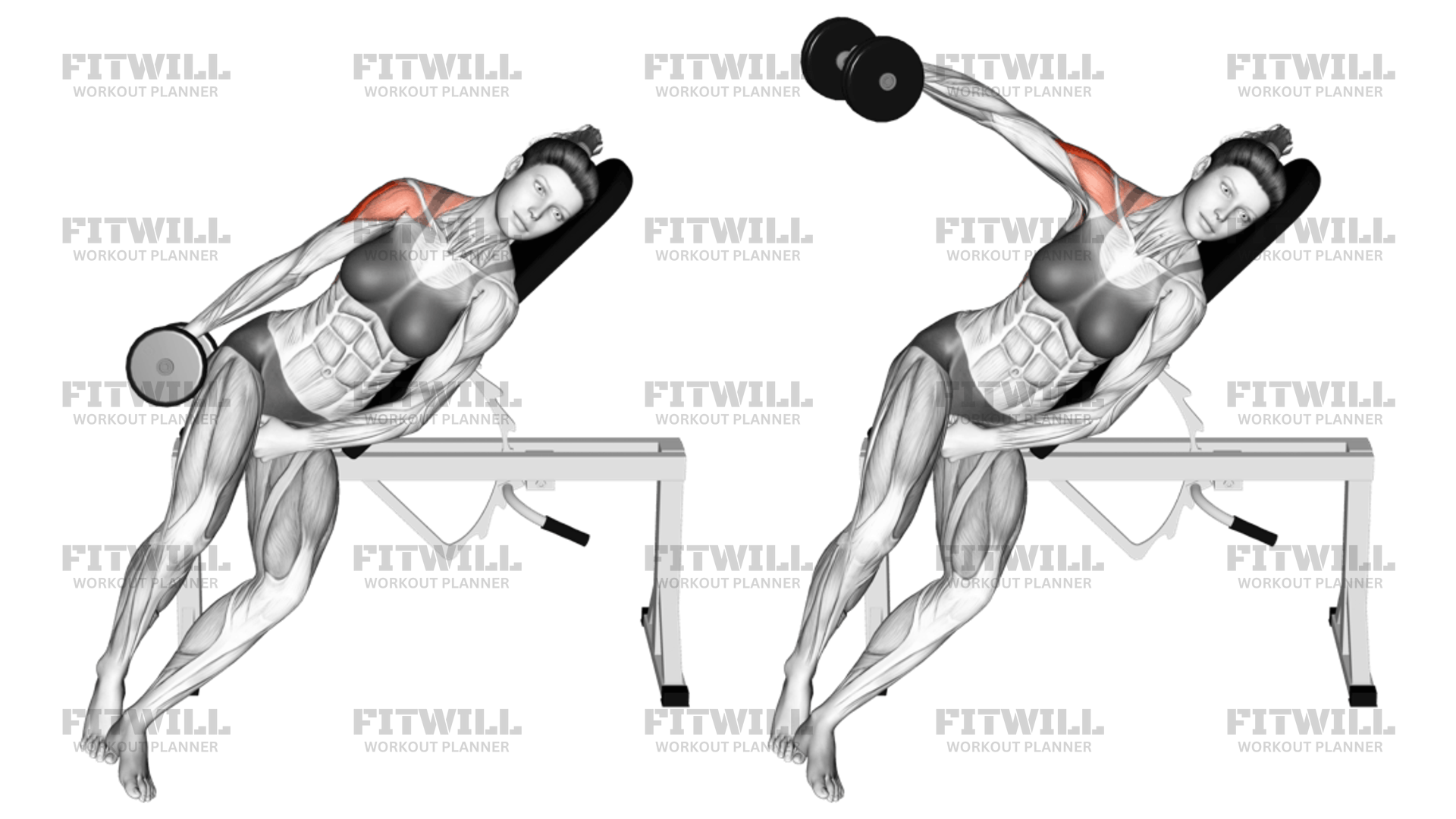 Dumbbell Incline One Arm Lateral Raise: Exercise Guide, Techniques, Benefits, How to, Muscles ...