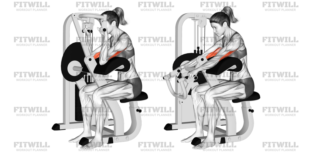 Lever Triceps Extension (VERSION 2): Exercise Guide, Video, Techniques ...