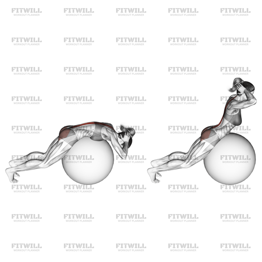 Exercise Ball Back Extension With Hands Behind Head: Exercise Guide ...