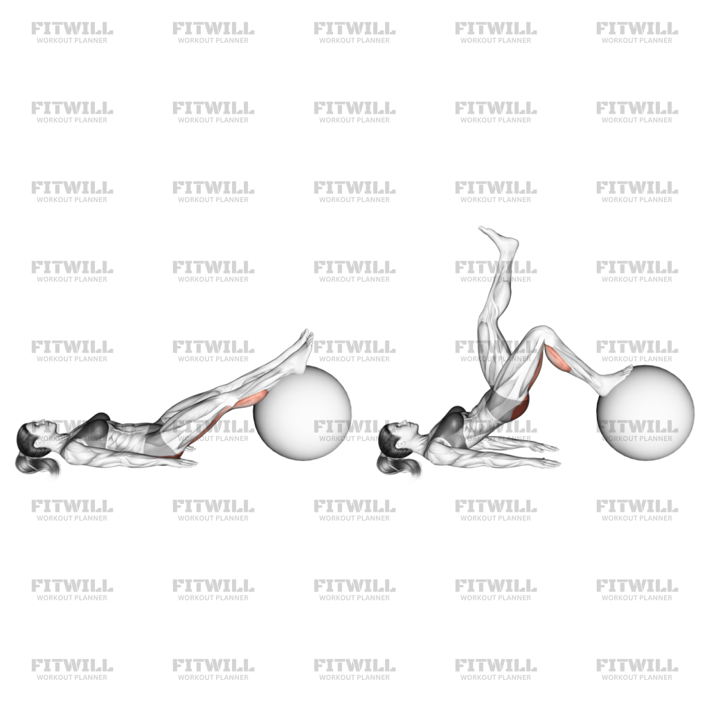 Exercise Ball One Legged Diagonal Kick Hamstring Curl: Exercise Guide ...