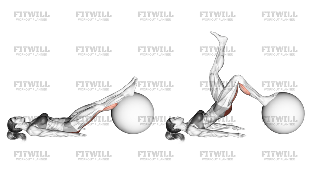 Exercise Ball One Legged Diagonal Kick Hamstring Curl: Exercise Guide ...