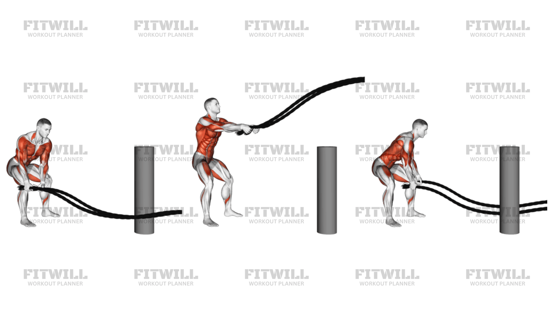 战绳侧平举：锻炼指南、技巧、益处、方法、锻炼肌群、贴士与技巧 | Fitwill