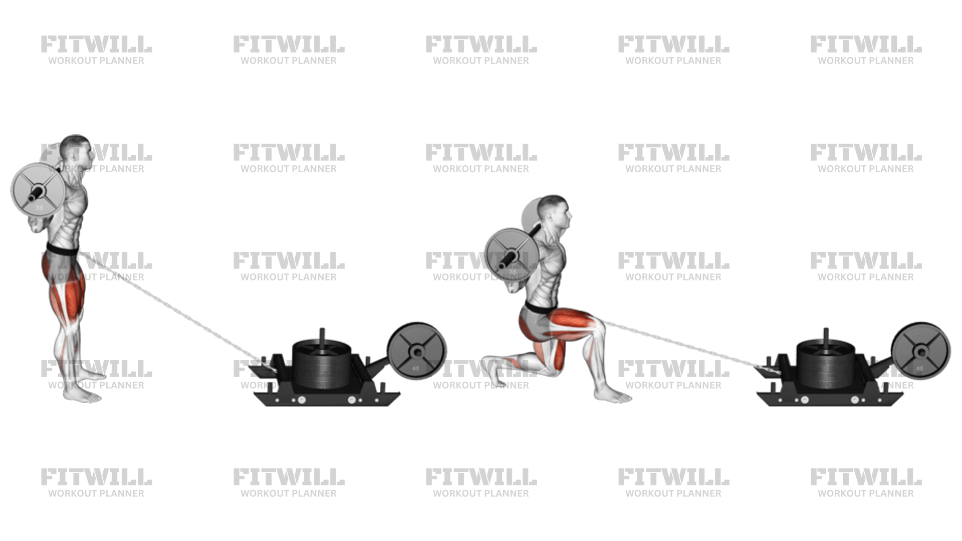 Power Sled Rear Lunge: Exercise Guide, Techniques, Benefits, How to ...
