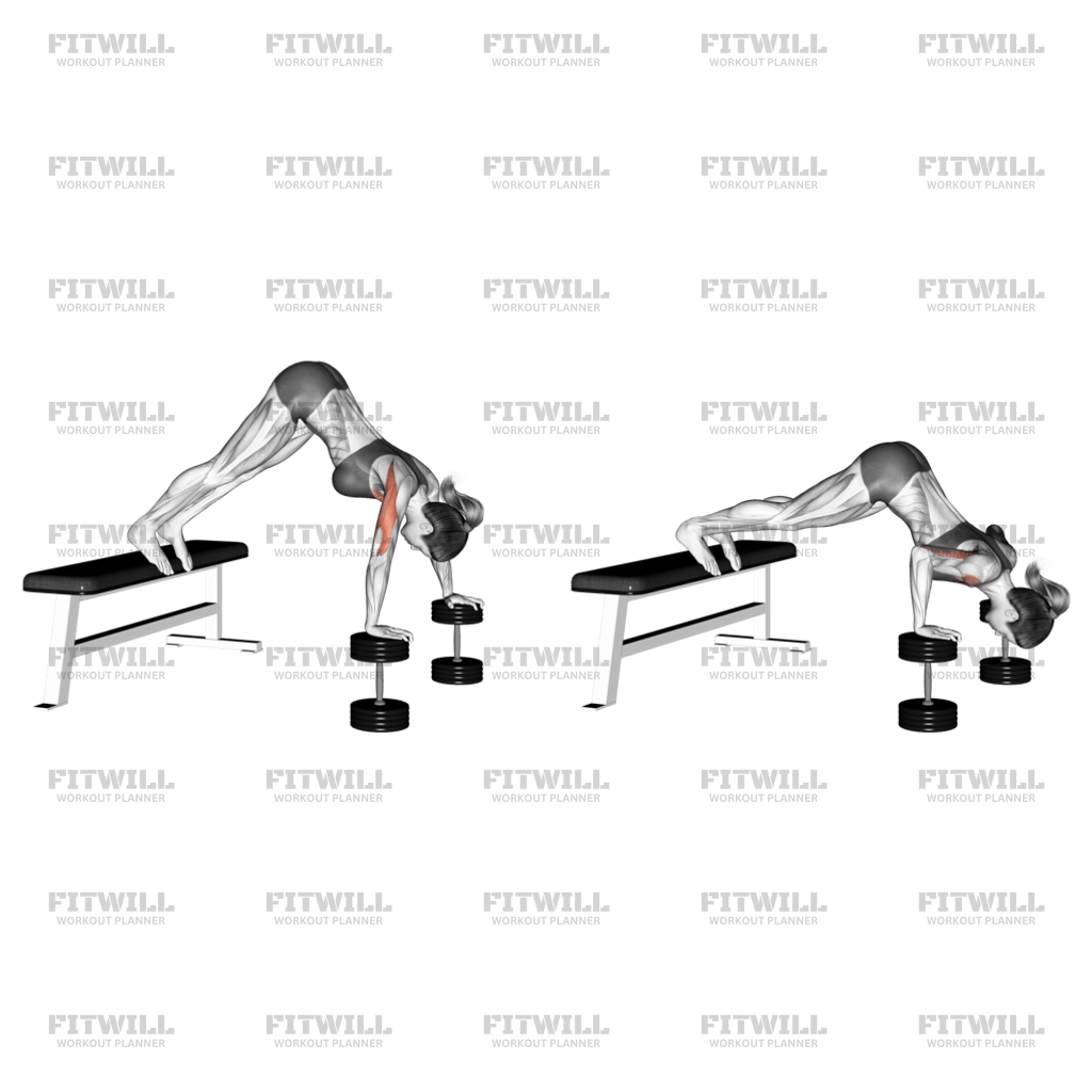 Pike Push-up (on Bench): Exercise Guide, Techniques, Benefits, How to ...
