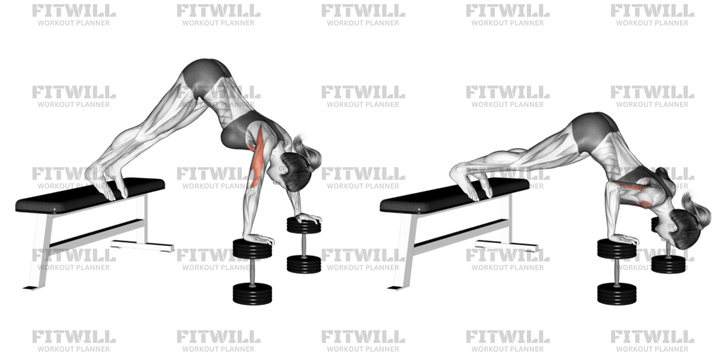 Pike Push-Up On Bench: Exercise Guide, Techniques, Benefits, How to ...