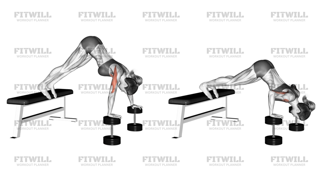 Pike Push-Up On Bench: Exercise Guide, Techniques, Benefits, How to ...
