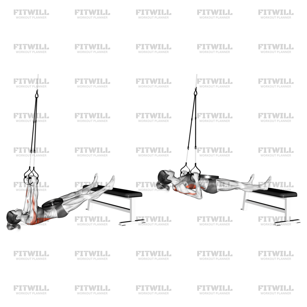 Suspender Weighted Inverted Row: Exercise Guide, Techniques, Benefits ...