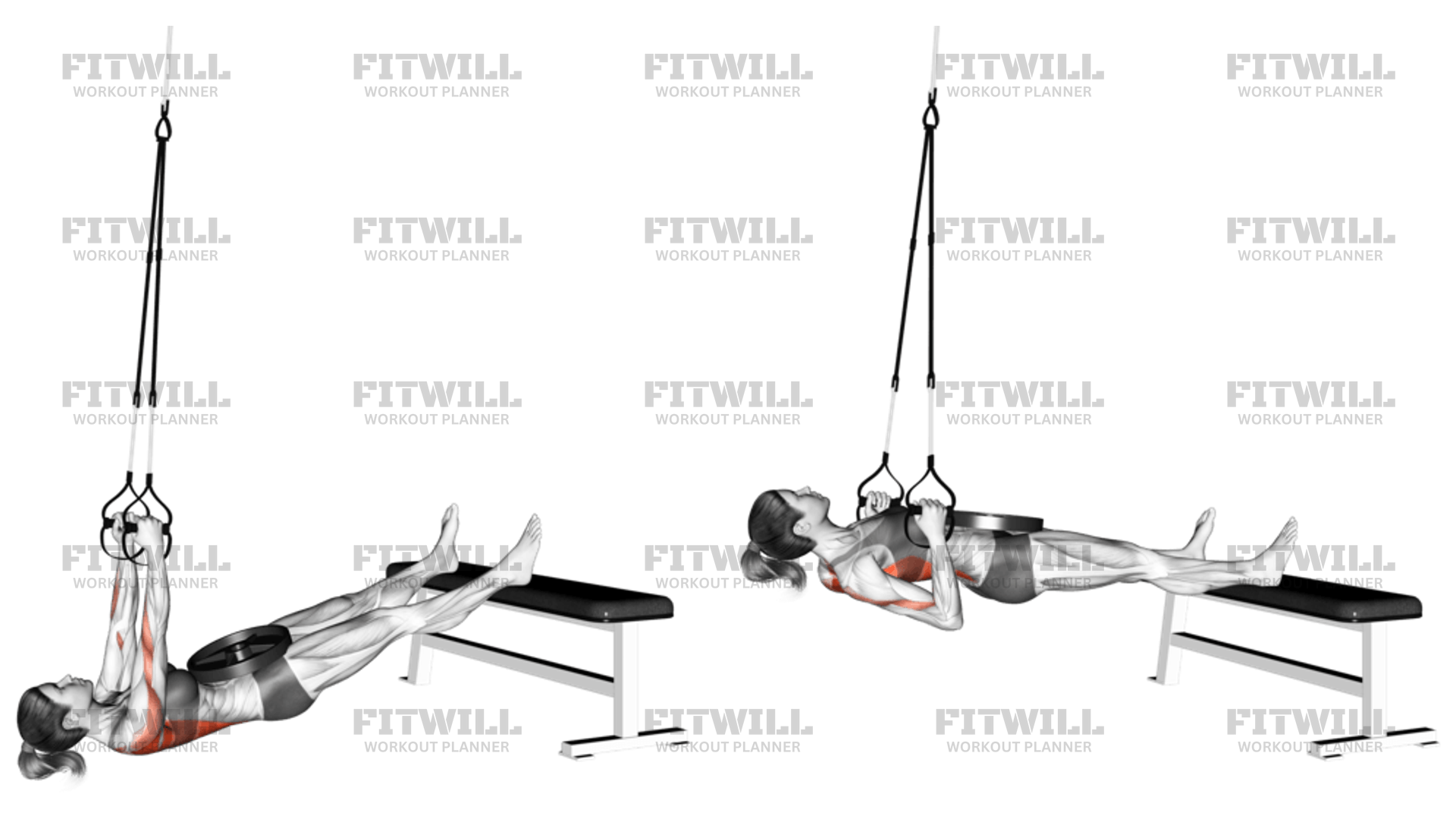 Suspender Weighted Inverted Row: Exercise Guide, Techniques, Benefits ...