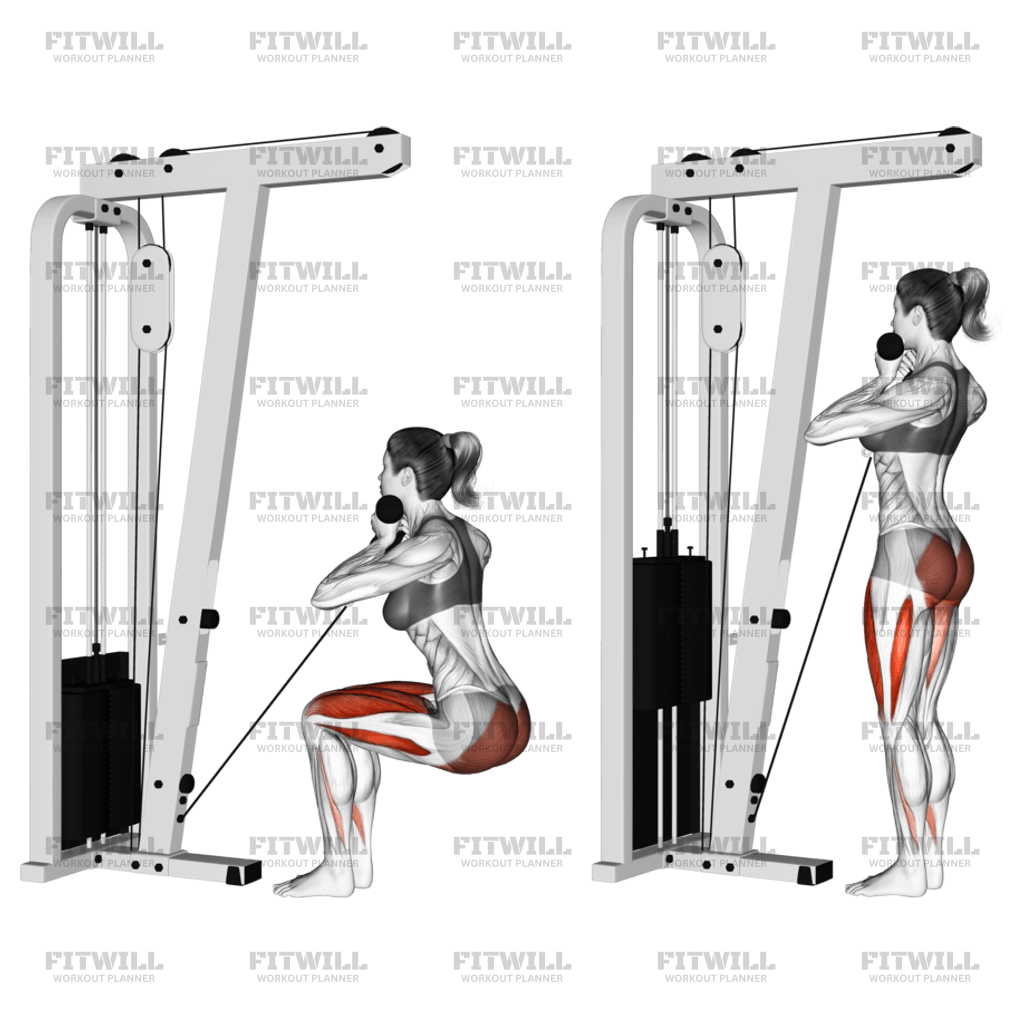 Cable Narrow Chair Stand Up: Exercise Guide, Video, Techniques ...
