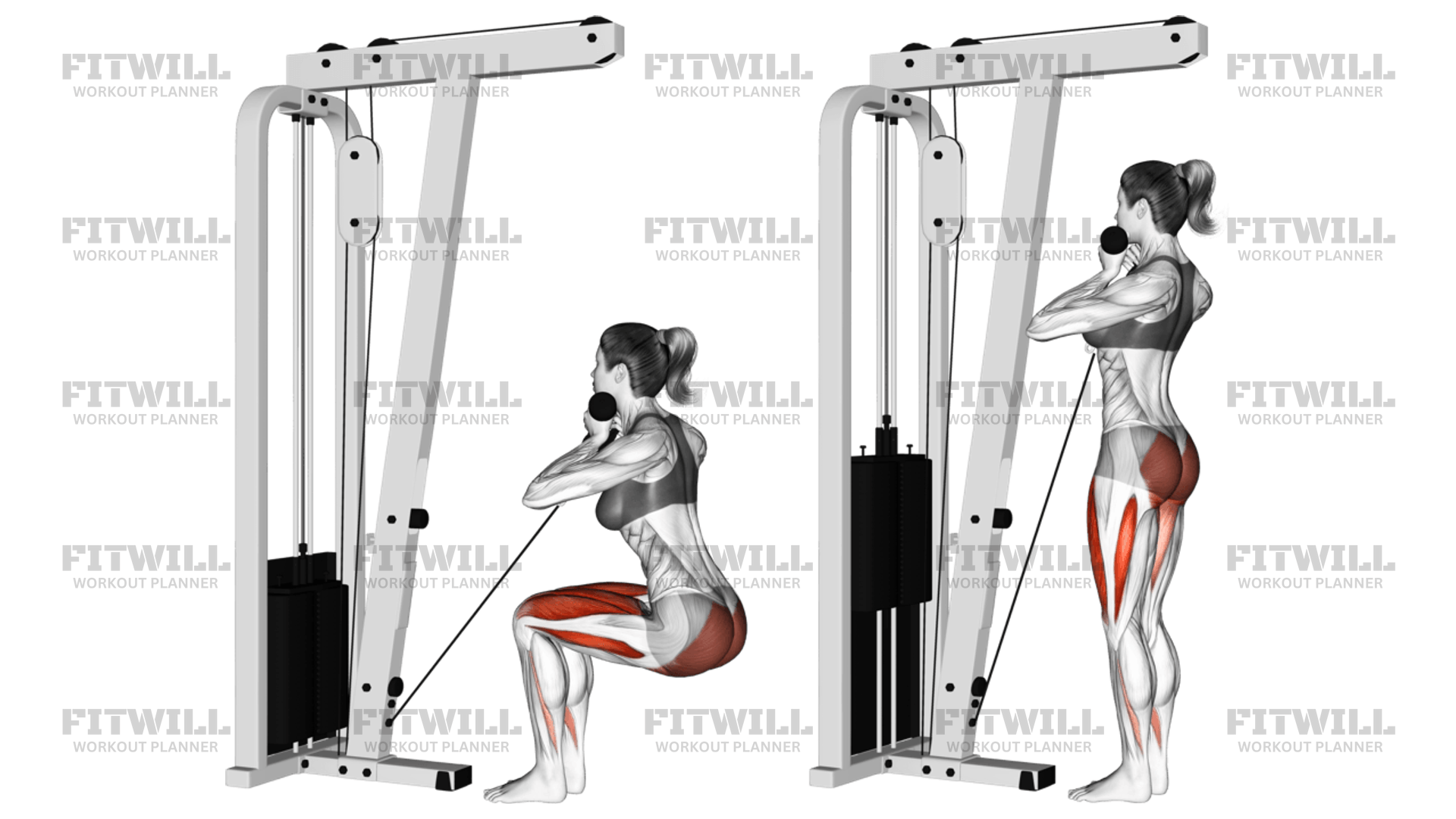 Cable Narrow Chair Stand Up: Exercise Guide, Video, Techniques ...