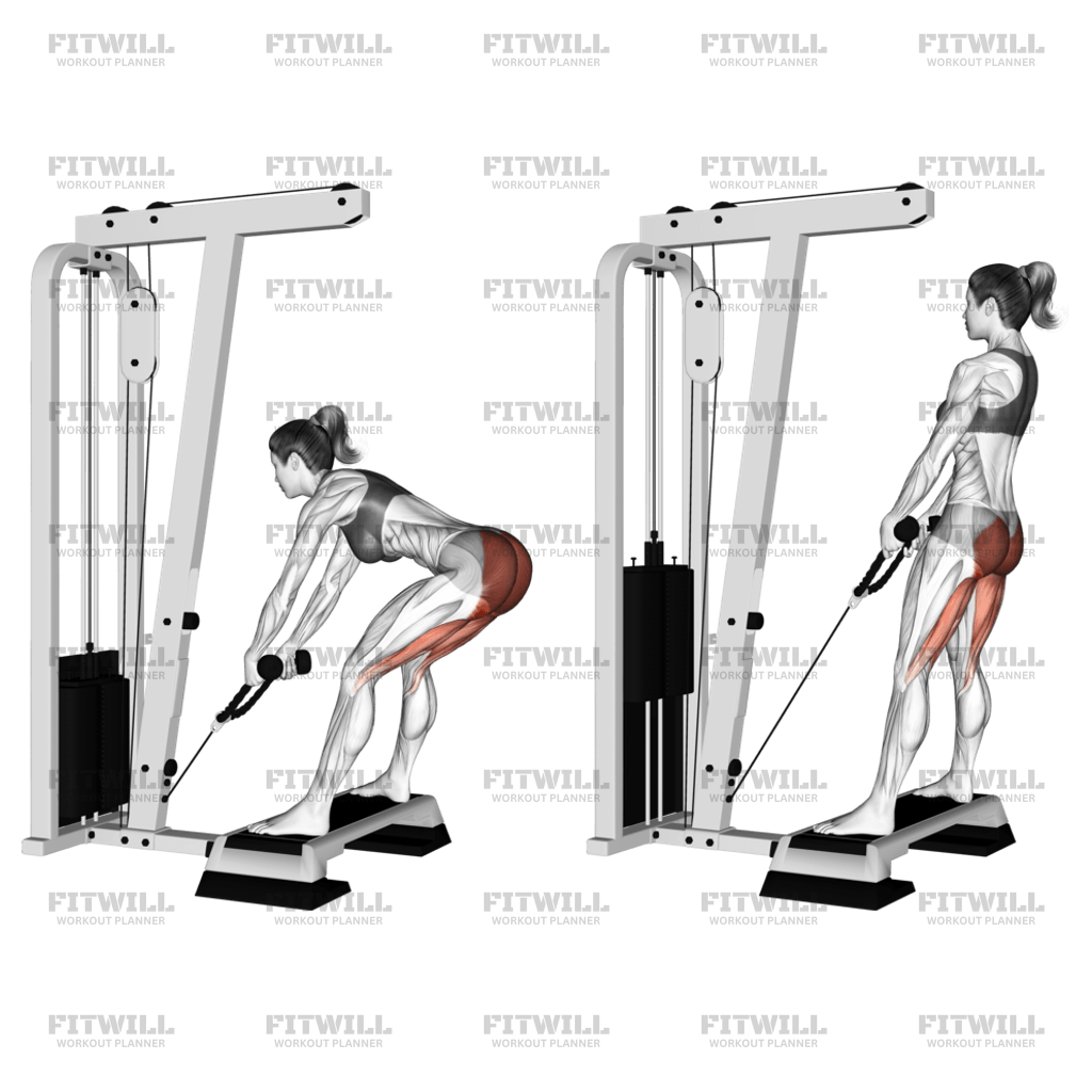 Cable Stiff Leg Deadlift From Stepbox: Exercise Guide, Video ...