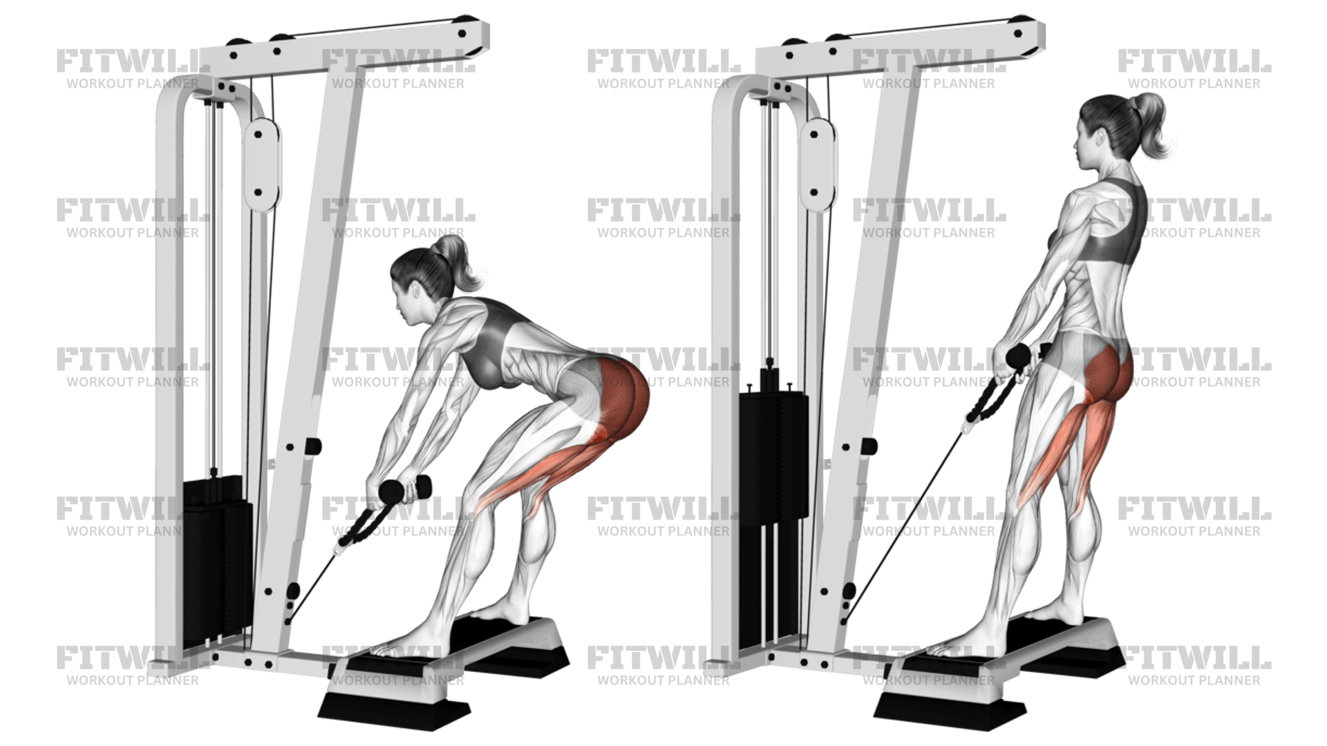 Cable Stiff Leg Deadlift From Stepbox: Exercise Guide, Video ...