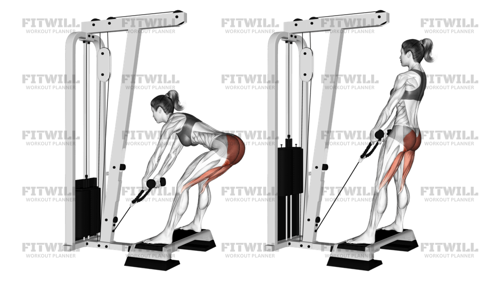 Cable Stiff Leg Deadlift From Stepbox: Exercise Guide, Video ...
