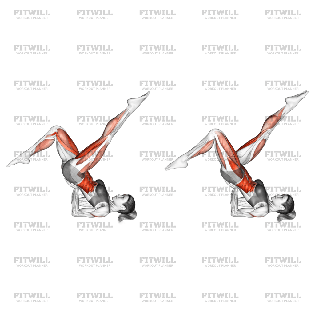 Bicycle: Exercise Guide, Video, Techniques, Benefits, How to, Muscles ...