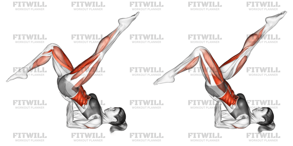 Bicycle: Exercise Guide, Video, Techniques, Benefits, How to, Muscles ...