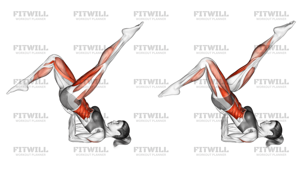 Bicycle: Exercise Guide, Video, Techniques, Benefits, How to, Muscles ...