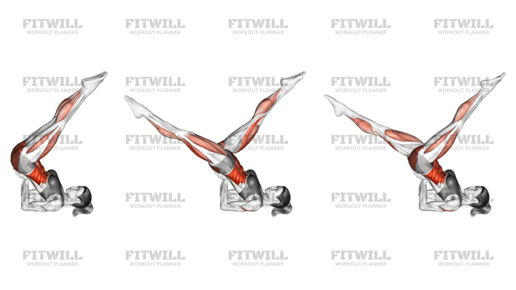 Scissors: Exercise Guide, Video, Techniques, Benefits, How to, Muscles ...