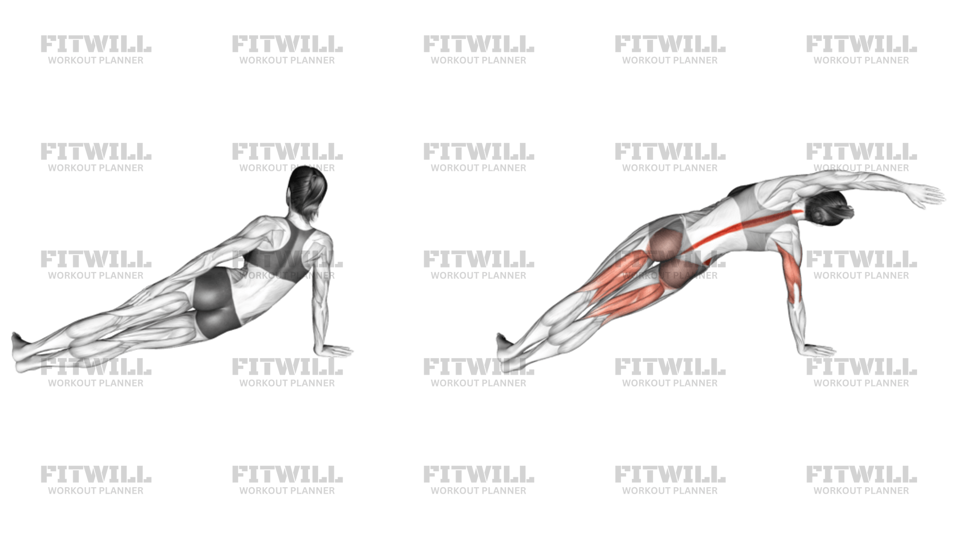 Side Bend: Exercise Guide, Techniques, Benefits, How to, Muscles Worked ...