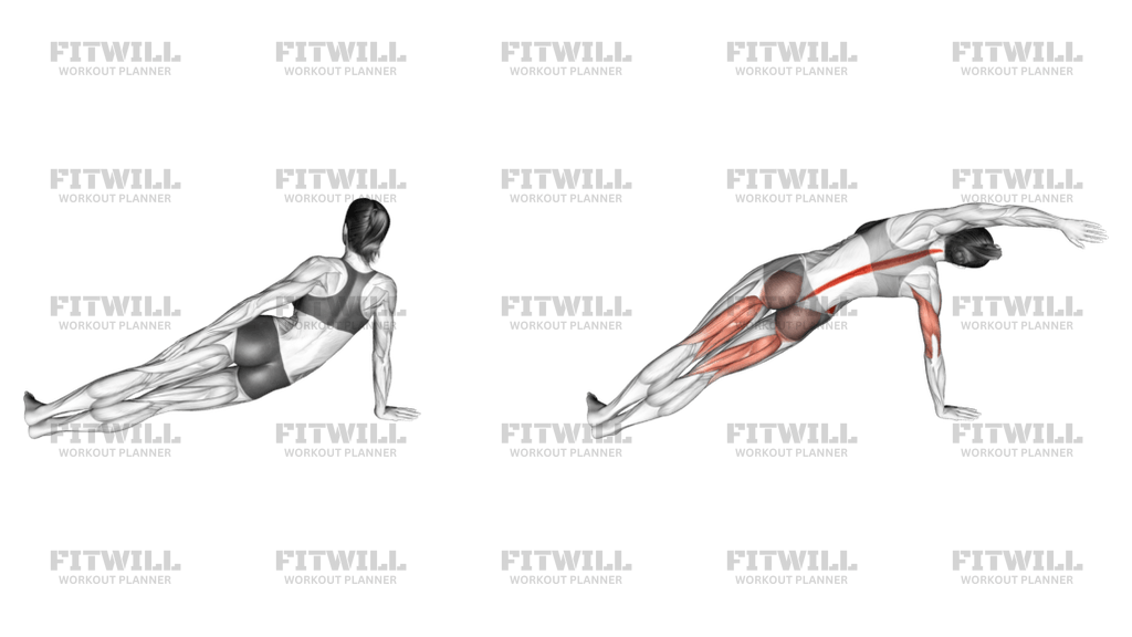 Flexión Lateral: Guía de Ejercicios, Técnicas, Beneficios, Cómo Realizarlo, Músculos Trabajados ...