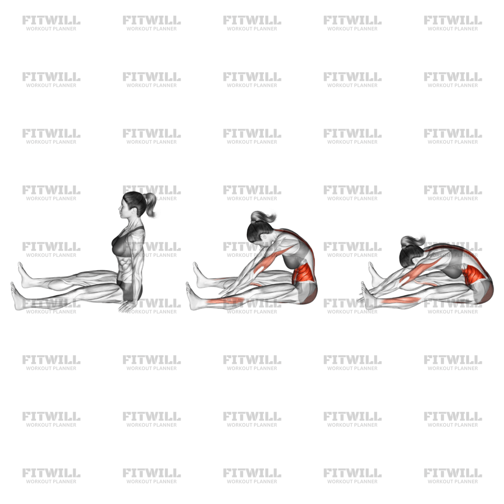 Spine Stretch Forward: Exercise Guide, Video, Techniques, Benefits, How ...