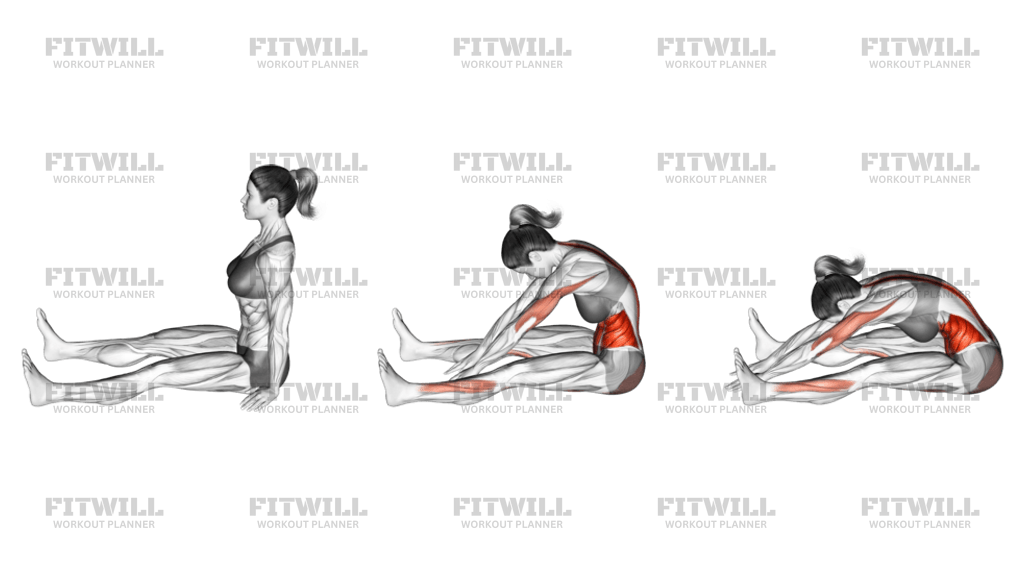 Spine Stretch Forward: Exercise Guide, Video, Techniques, Benefits, How ...