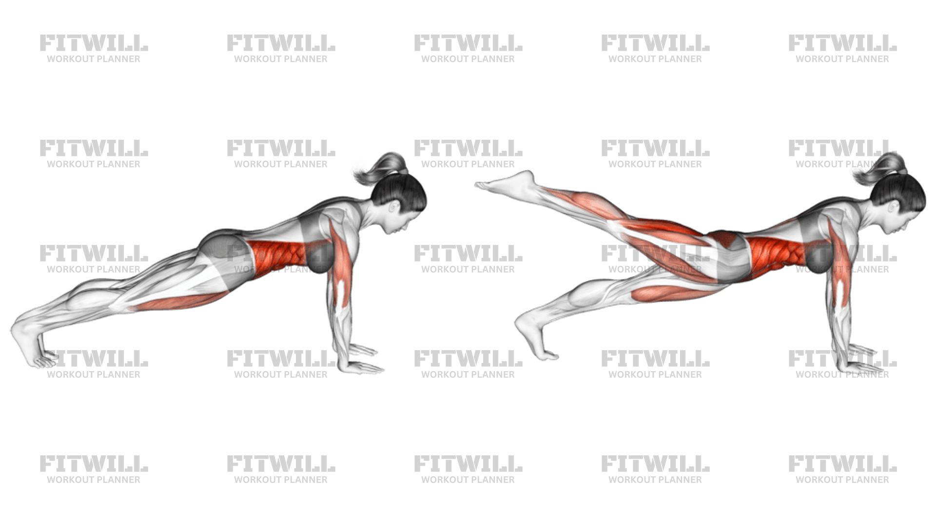 Leg Pull Front Supported: Exercise Guide, Techniques, Benefits, How to ...