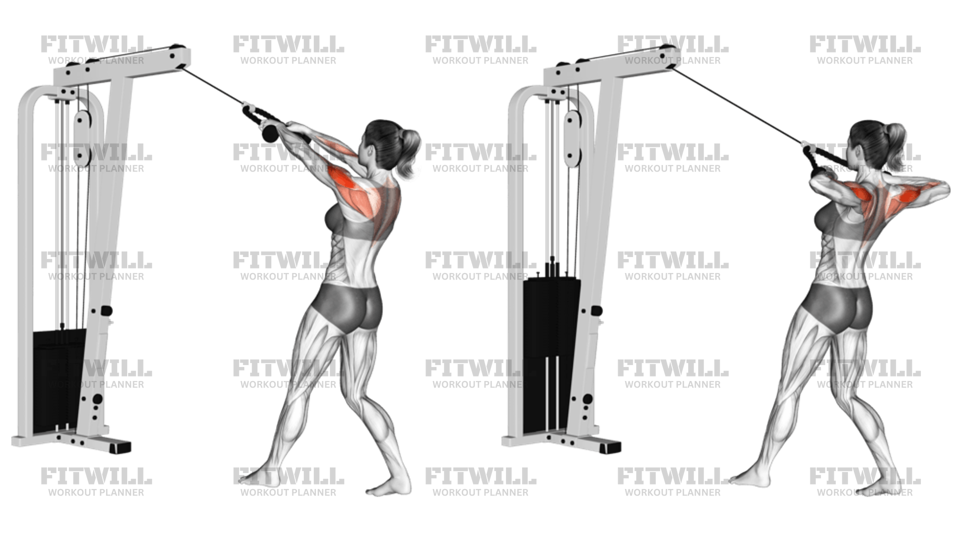 Cable Standing Rear Delt Row (with Rope): Exercise Guide, Video ...