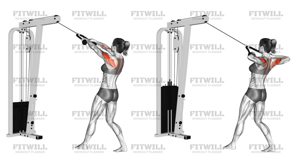 Cable Standing Rear Delt Row (with Rope): Exercise Guide, Video ...