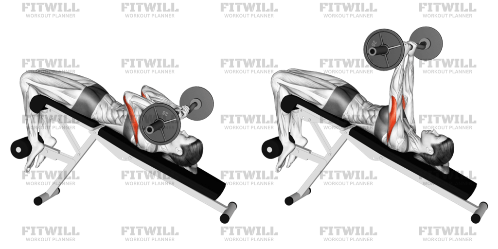 EZ Barbell Decline Close-Grip Face Press: Exercise Guide, Techniques ...
