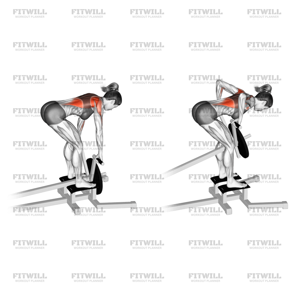 Lever T-bar Row (plate Loaded): Exercise Guide, Video, Techniques ...