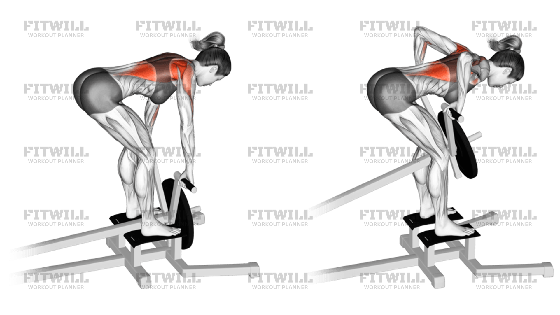 Lever T Bar Row Plate Loaded Exercise Guide Video Techniques