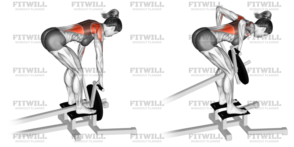 Lever T-bar Row (plate Loaded): Exercise Guide, Video, Techniques ...