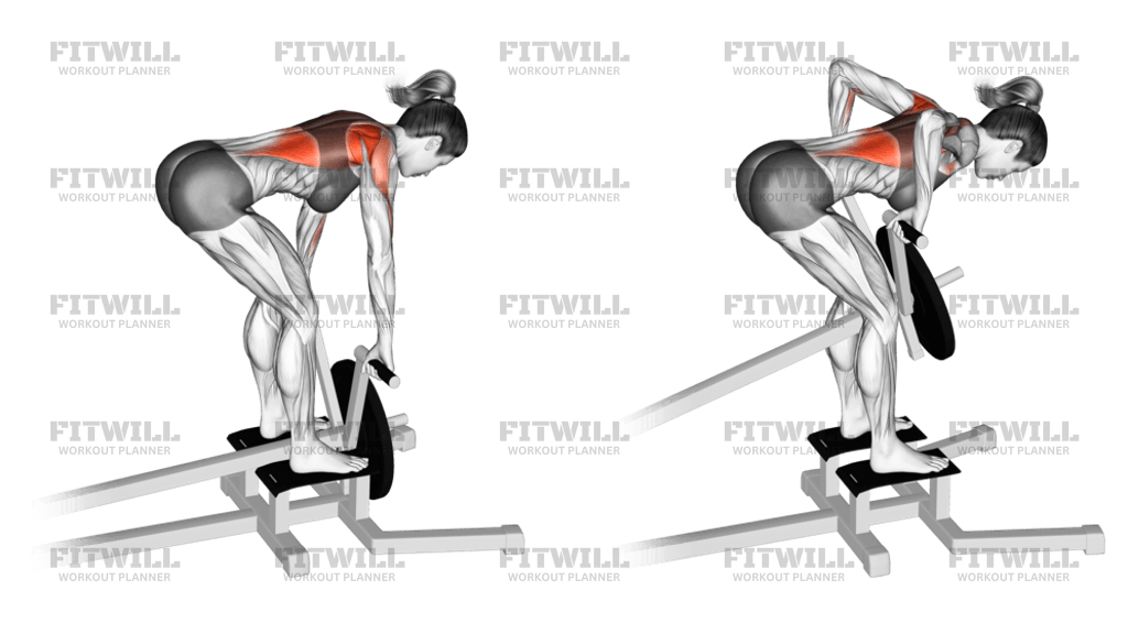 Lever T-bar Row (plate Loaded): Exercise Guide, Video, Techniques ...