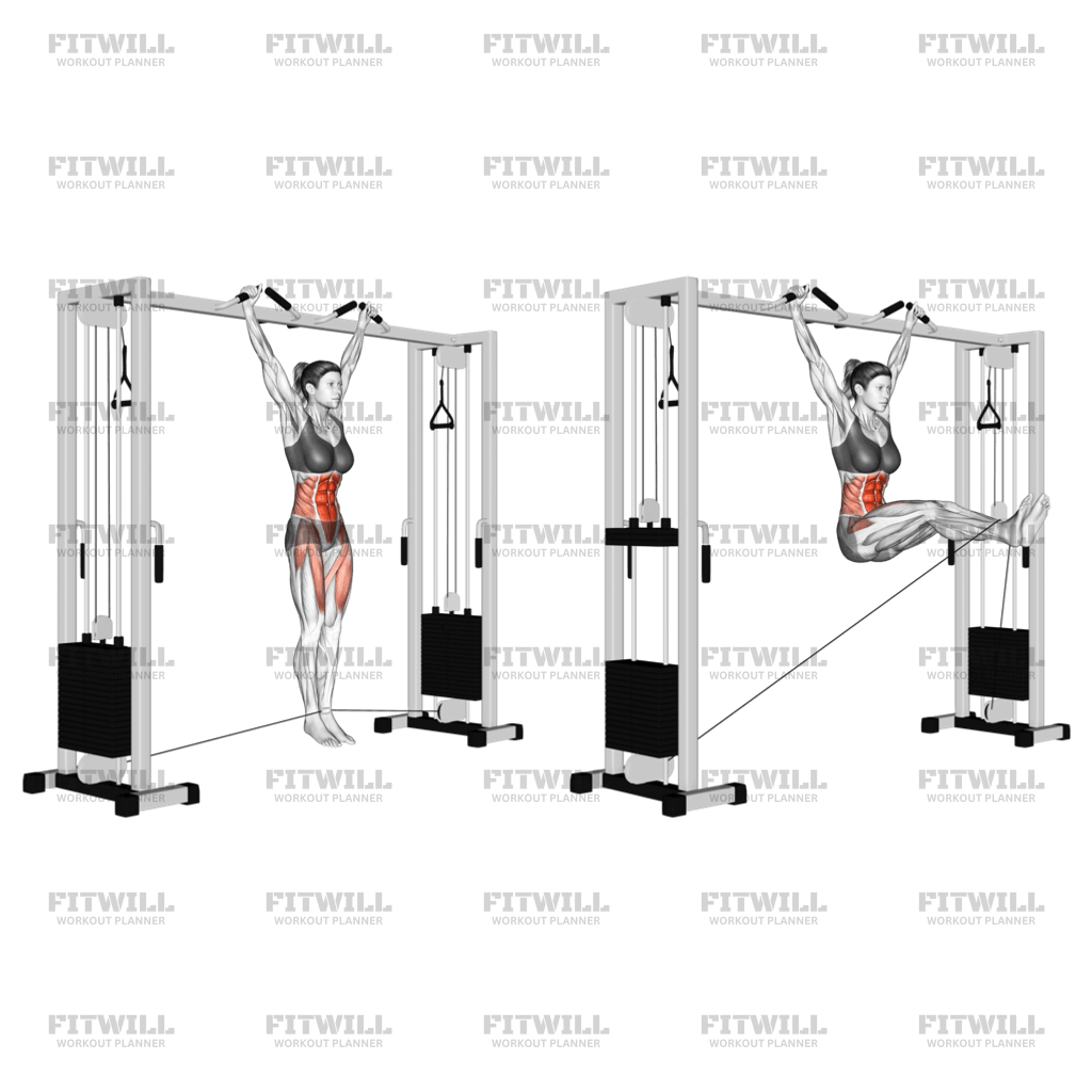 Cable Hanging Leg Raise: Exercise Guide, Techniques, Benefits, How to ...