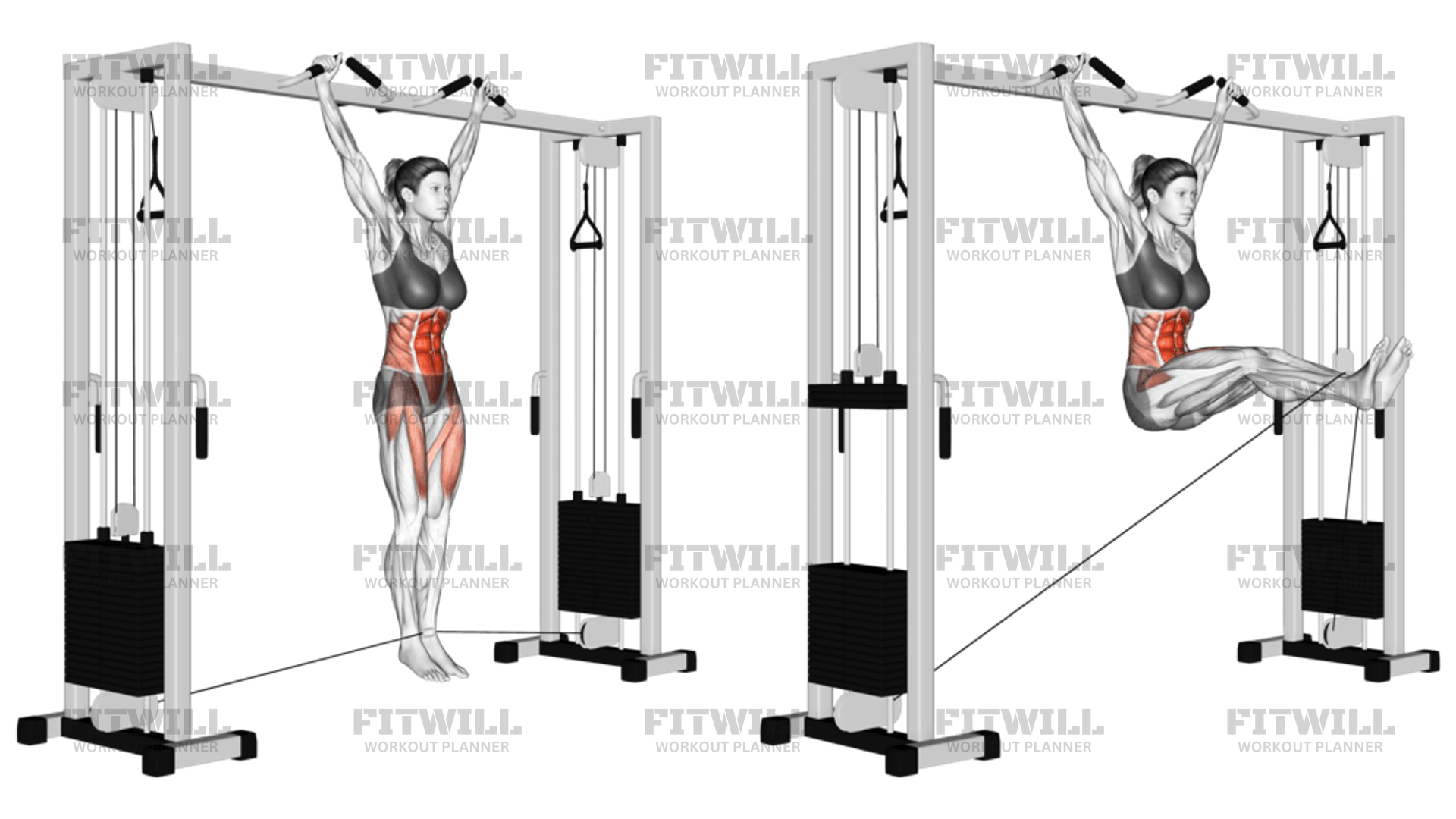 Cable Hanging Leg Raise: Exercise Guide, Techniques, Benefits, How to ...
