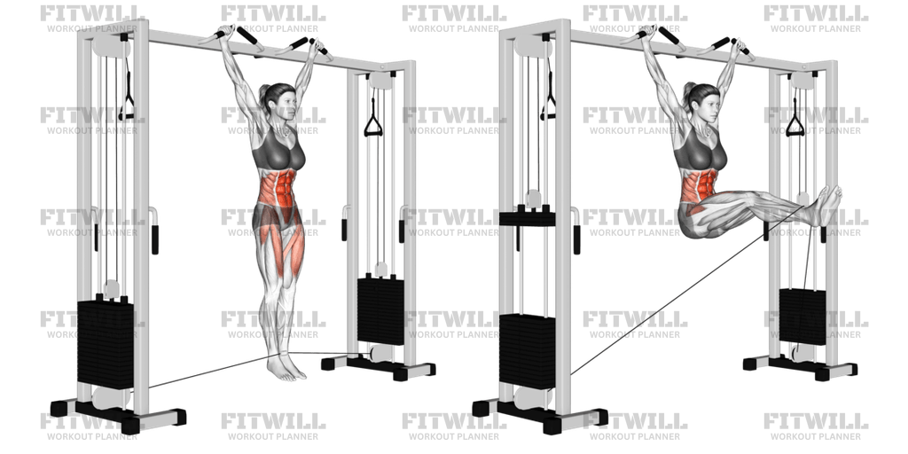 Cable Hanging Leg Raise: Exercise Guide, Techniques, Benefits, How to ...