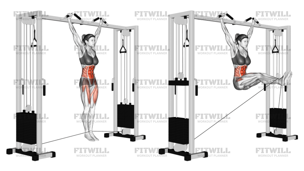 Cable Hanging Leg Raise: Exercise Guide, Techniques, Benefits, How to ...