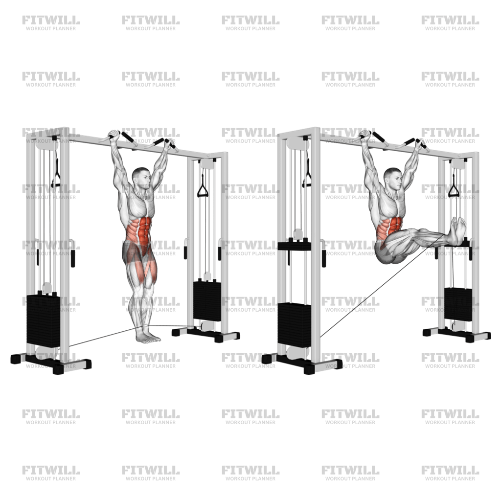 Cable Hanging Leg Raise: Exercise Guide, Techniques, Benefits, How to ...