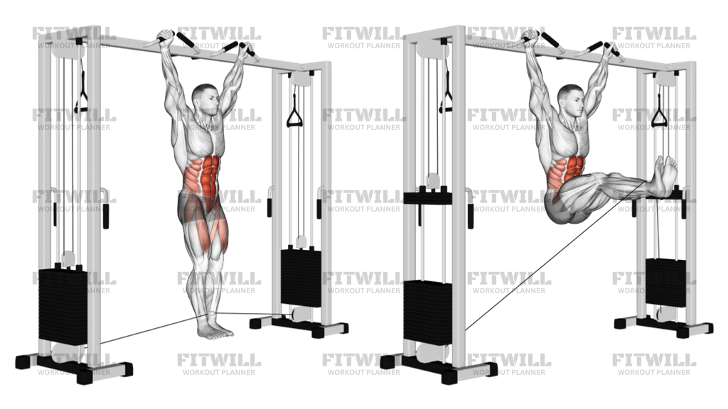 Cable Hanging Leg Raise: Exercise Guide, Techniques, Benefits, How to ...