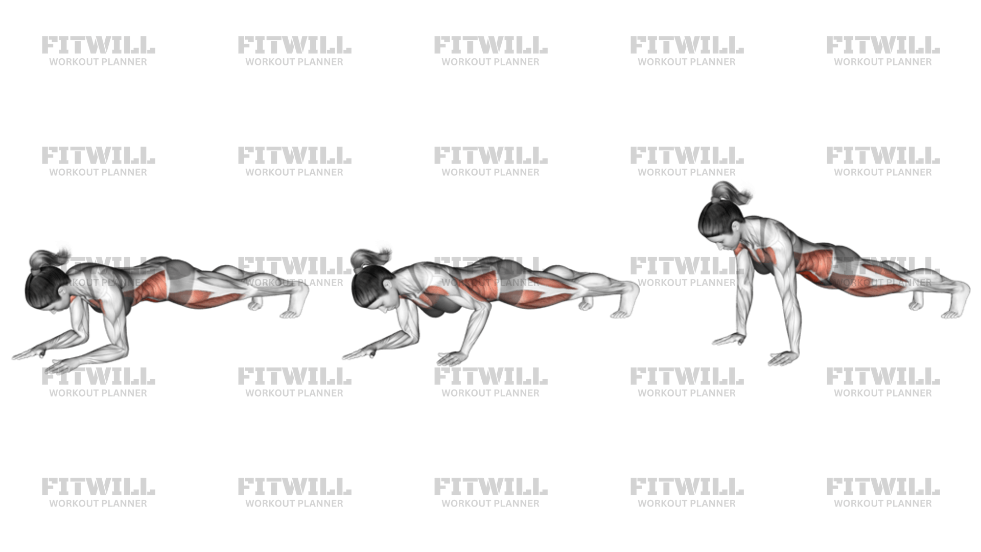 Plancha Frontal A Flexión De Brazo: Guía de Ejercicios, Técnicas, Beneficios, Cómo Hacerlo ...